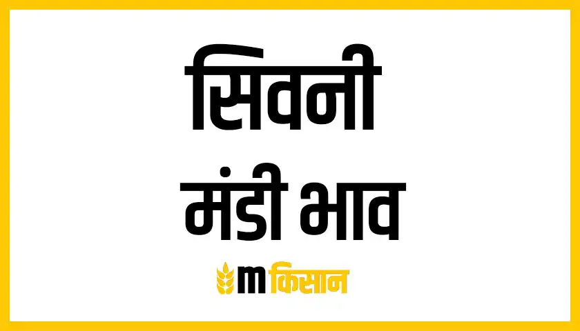 Seoni Mandi Bhav Today | Latest Market Rates | mKisan